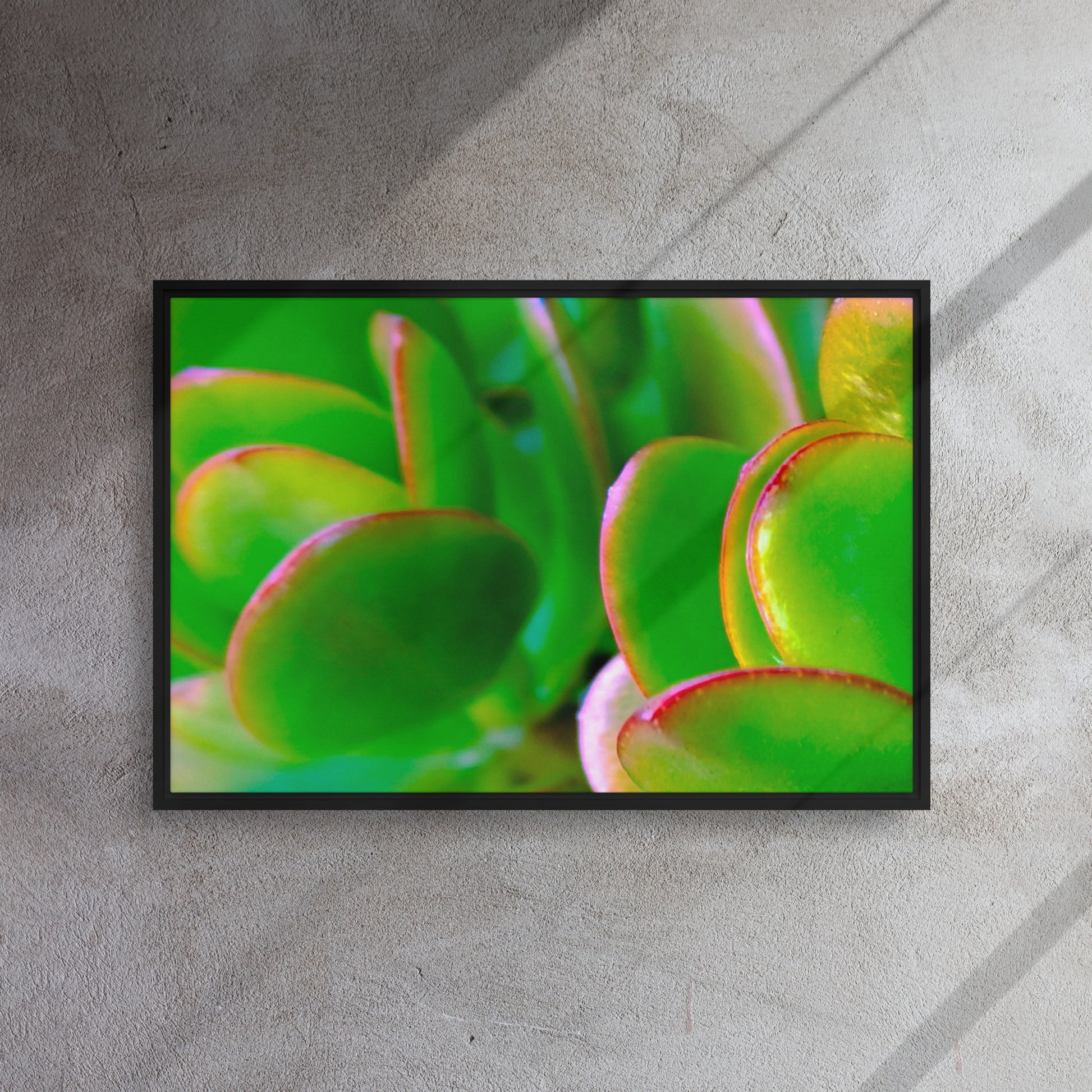 Succulent Wall Art Print - Nature Photography | Rowoo Design