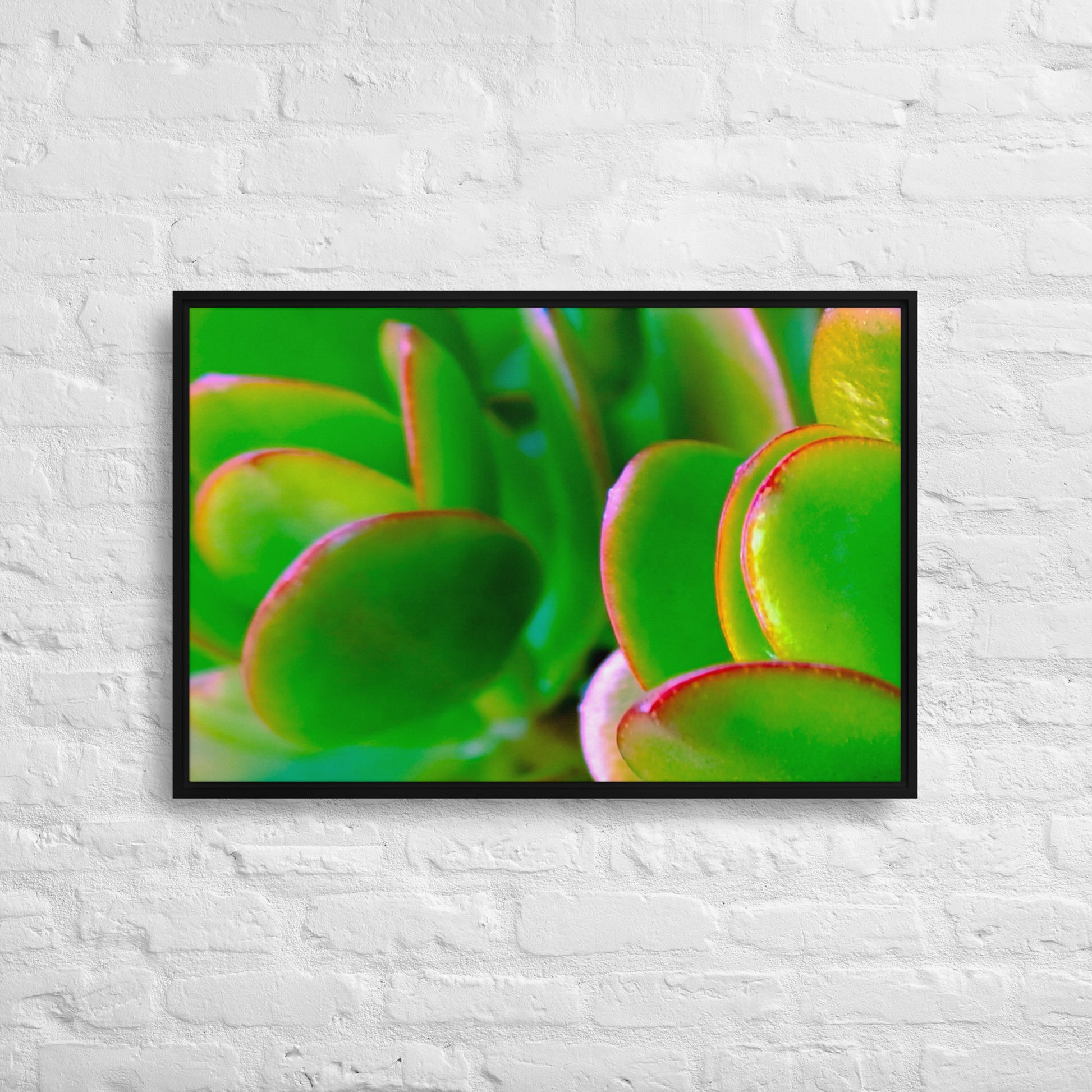 Succulent Wall Art Print - Nature Photography | Rowoo Design